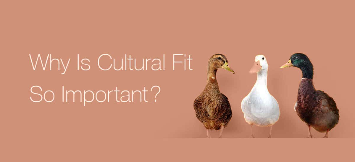 Cultural Fit - Outcome Coaching